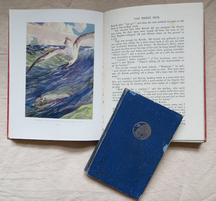 Inheritance Books – Janet Gover – Jeevani Charika and Rhoda Baxter