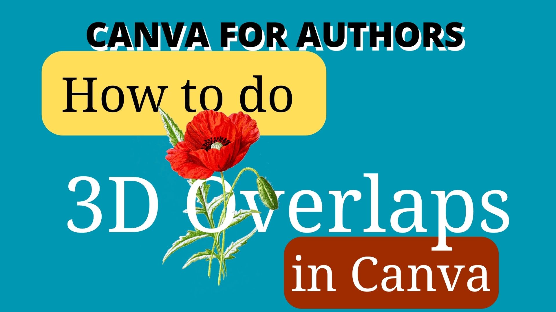 Canva for Authors: How to do 3D overlaps in Canva – Jeevani Charika and ...